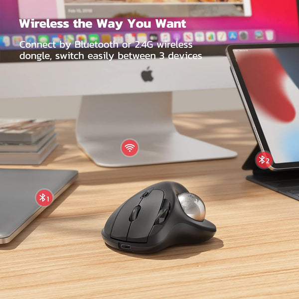 Nulea M501 Wireless Trackball Mouse – nulea offical