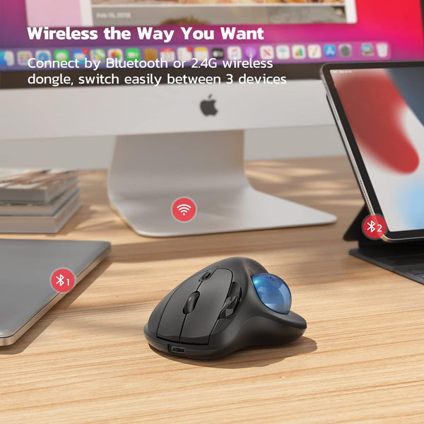 Nulea M501 Wireless Trackball Mouse – nulea offical